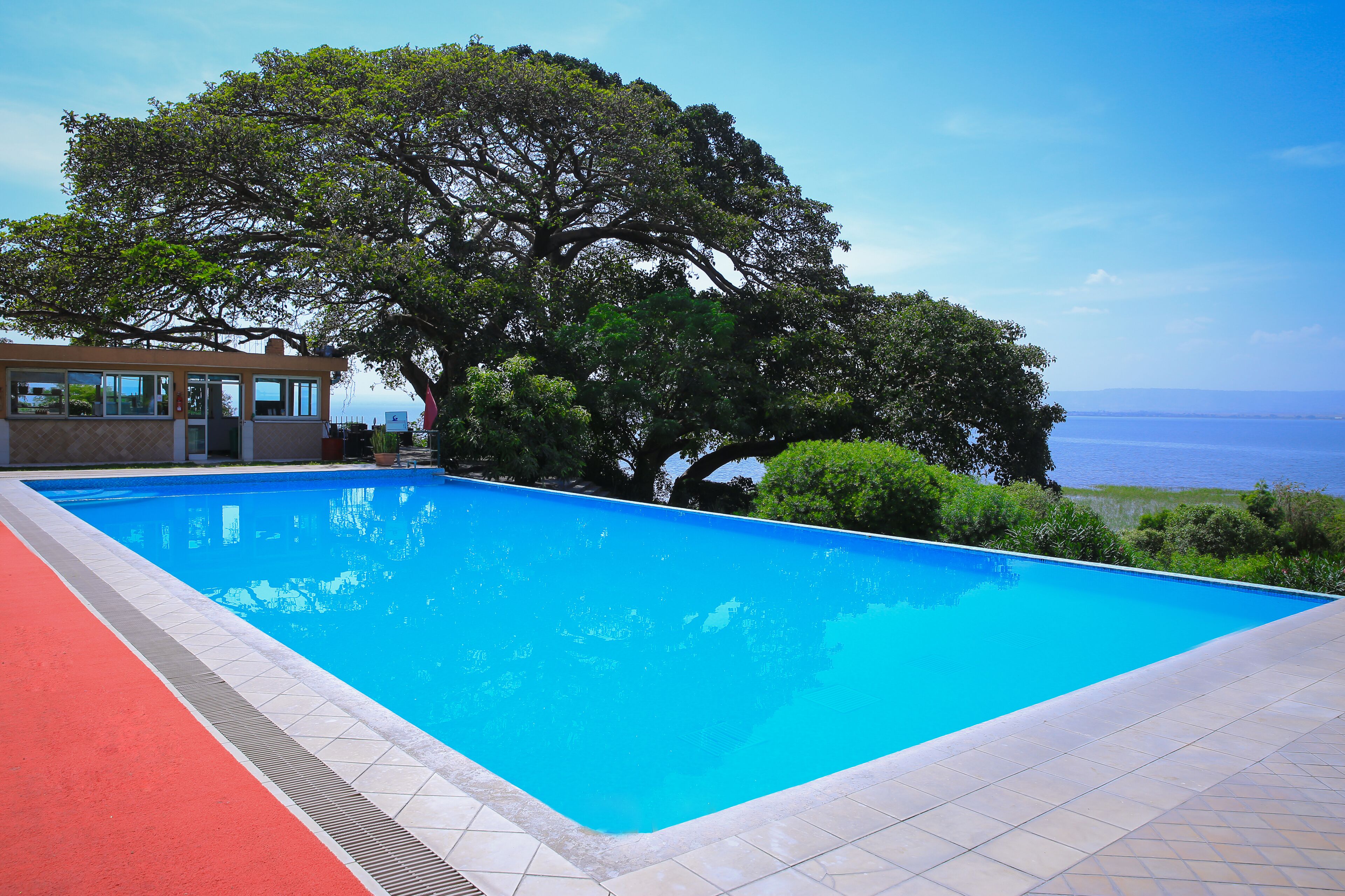 Piscina exterior, guarda-sóis, espreguiçadeiras 