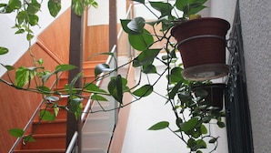 Escadaria com corrimão de madeira, ladeada por plantas em vasos e uma grade de metal.