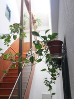 Escadaria com corrimão de madeira, ladeada por plantas em vasos e uma grade de metal.