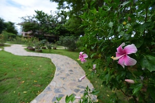 Uma trilha de pedra serpenteia por um jardim exuberante, com vegetação densa e flores cor-de-rosa.