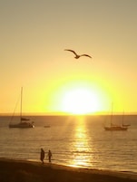 Perto da praia, areia branca 