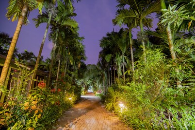 Silvanus Forest Retreat