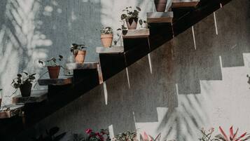 Uma escadaria com vasos de plantas em cada degrau, conduzindo a um nível inferior com mais plantas e pedras.