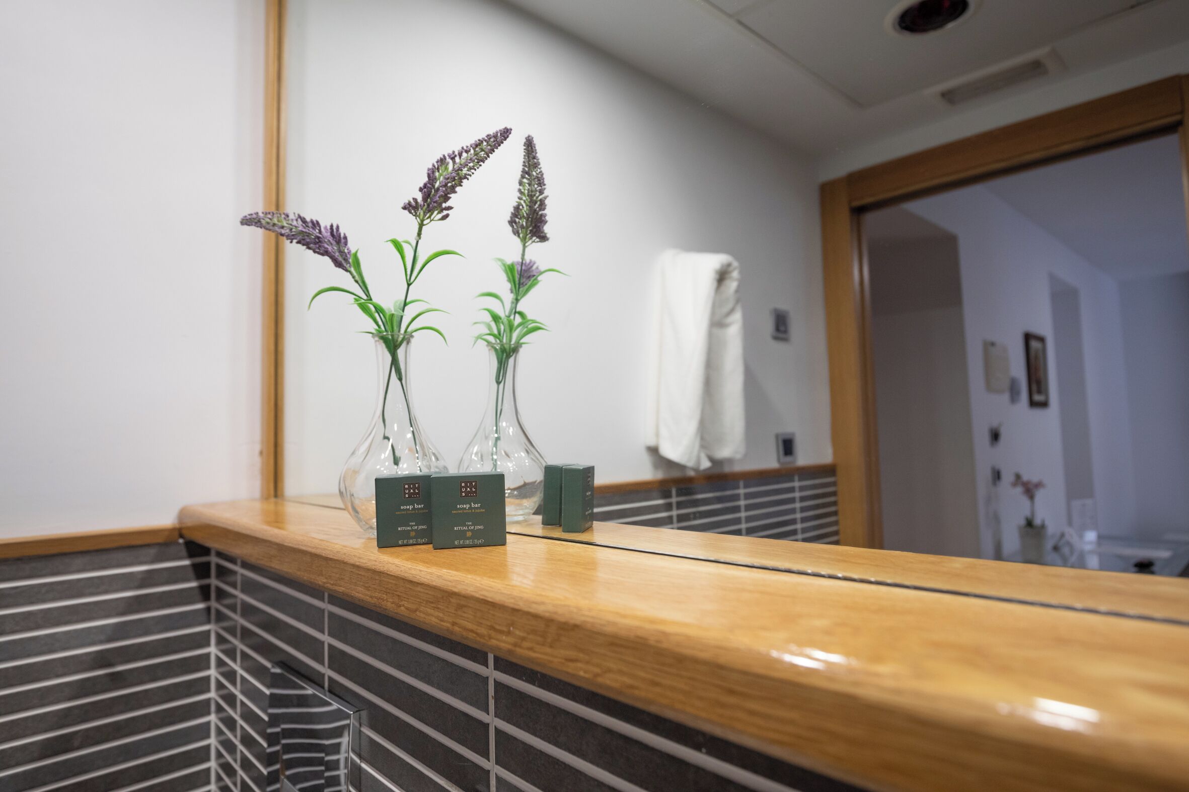 Uma toucador de banheiro com espelho, porta-toalhas e dois vasos com plantas.