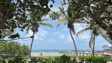 Vista da propriedade