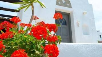 Terrenos do alojamento