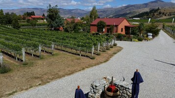 Área da propriedade