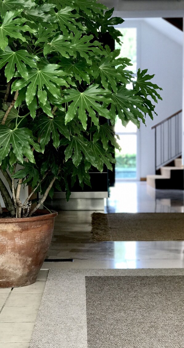 Detalhe da parte interna