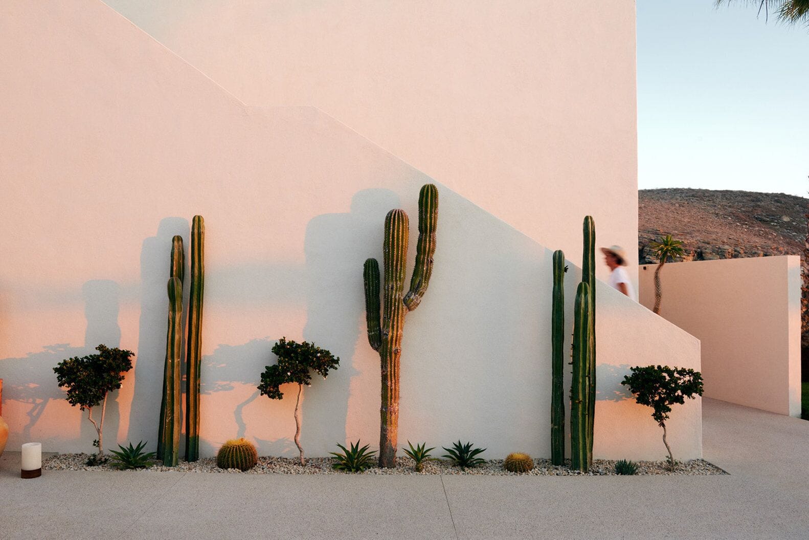 Um edifício moderno com design minimalista, apresentando uma série de cactos e pequenas plantas dispostas ao longo da parede externa.