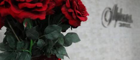 Comodidades da propriedade