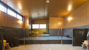 Uma área interna de piscina moderna com painéis de madeira, vista clara da piscina e um pequeno espaço de estar com uma planta.