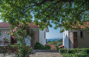 Bangalô standard, vista para o jardim | Vista do quarto