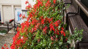 Uma varanda com flores vermelhas, um corrimão de madeira e um edifício com telhado de telhas vermelhas ao fundo.