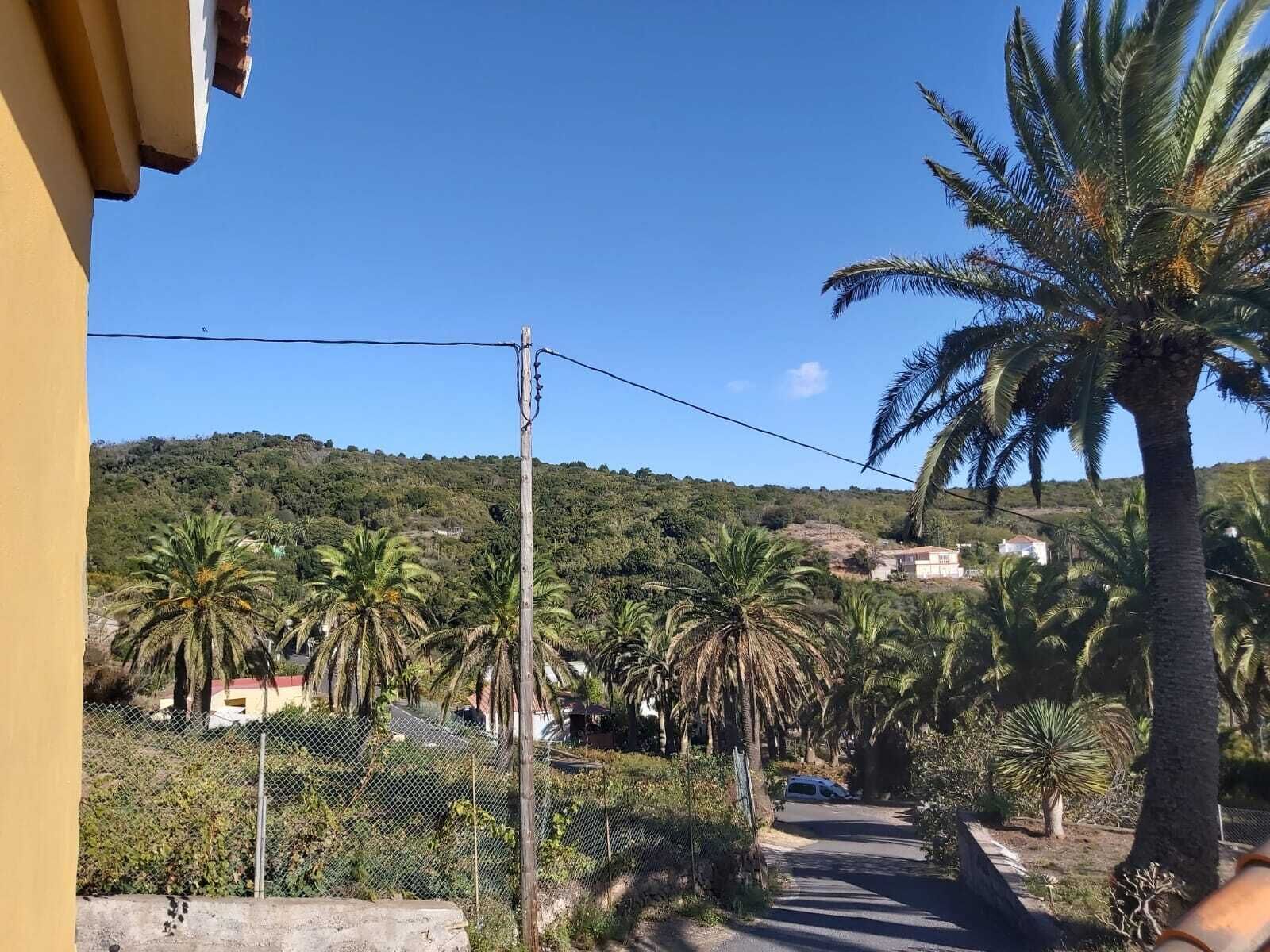 Zona residencial com estrada, palmeiras e casas numa encosta.