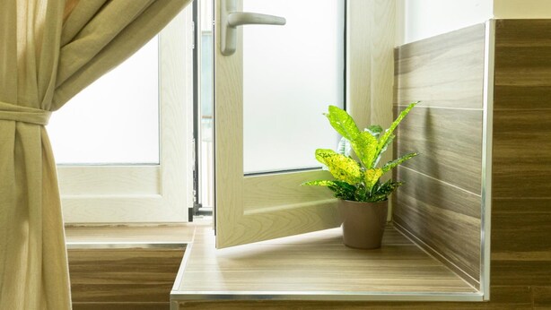 Um quarto com janela, porta, planta em vaso e um banco de madeira.