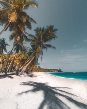 Uma praia com areia branca e palmeiras.
