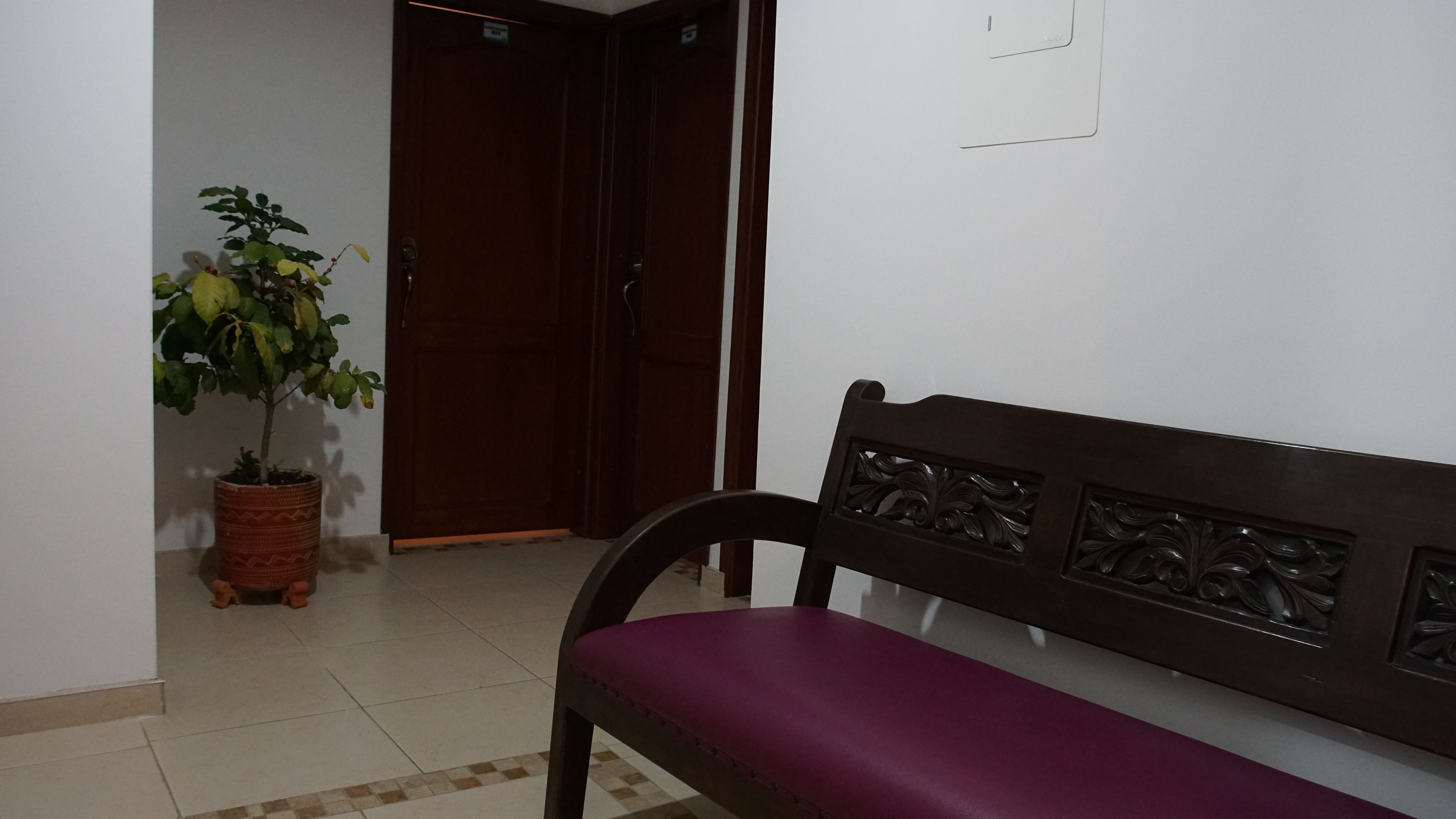 Um quarto com um banco de madeira, uma planta em vaso e uma porta fechada.