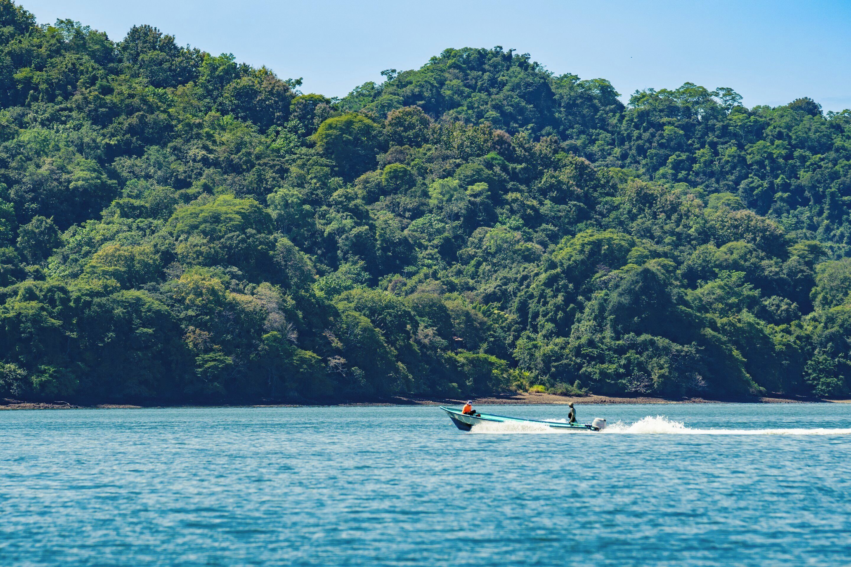 Um barco em águas calmas, com uma encosta arborizada ao fundo.