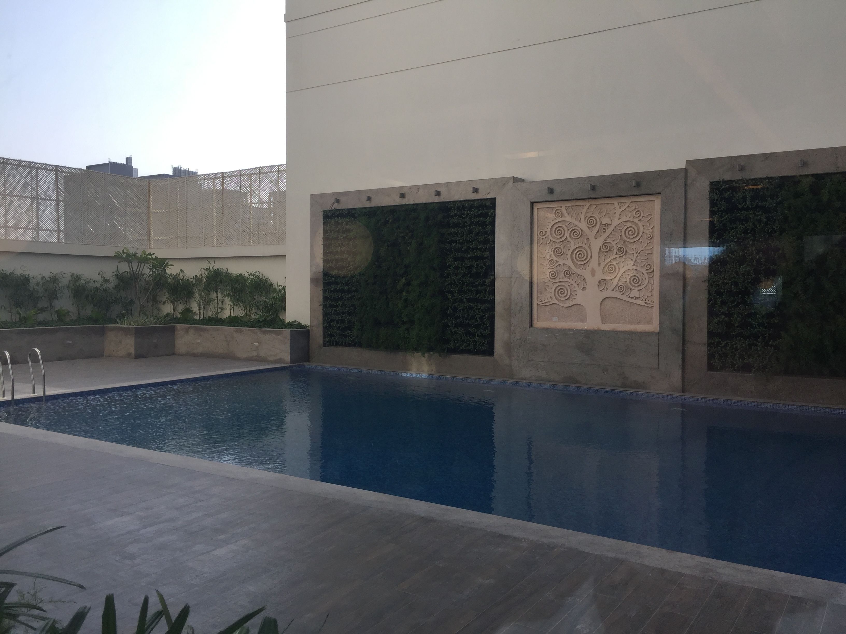 Uma piscina com design moderno, rodeada por um deck de concreto e uma parede decorativa com relevo de árvore.