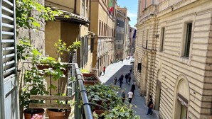 Uma rua estreita ladeada por edifícios, com plantas em vasos e um guarda-corpo de metal.