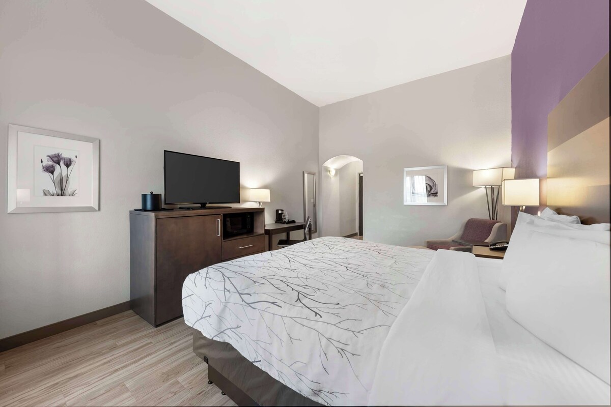 Quarto de hotel com uma cama, televisão de tela plana, escrivaninha e uma cadeira.