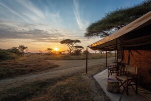 Vista da propriedade