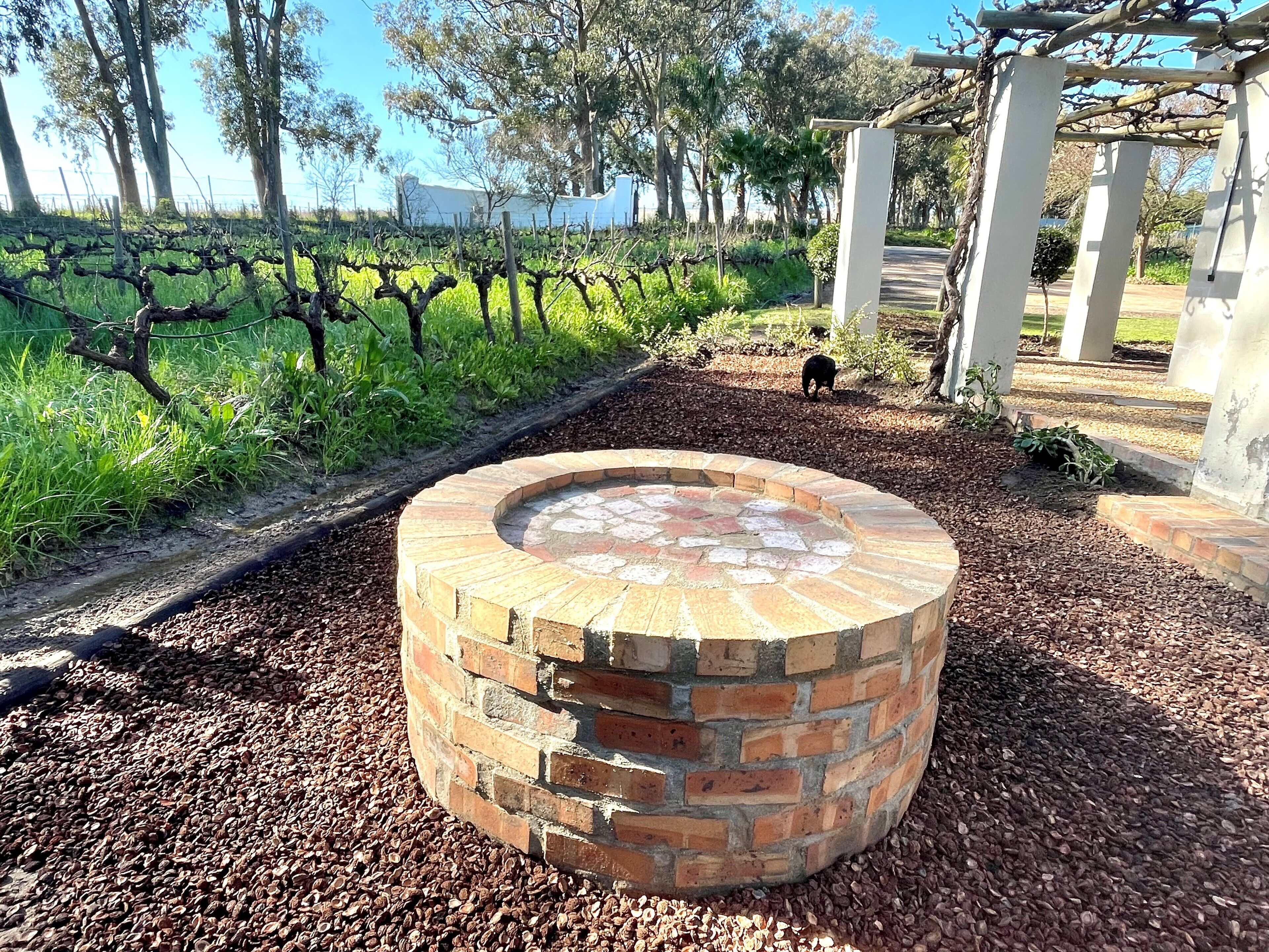 Kokete | Terraço/pátio