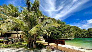Um resort tropical com um caminho bordeado por palmeiras que leva a uma praia.