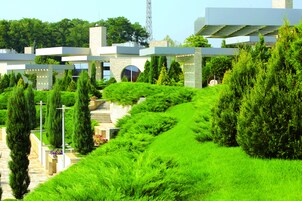 Área da propriedade