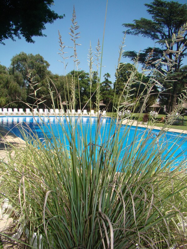 Uma piscina rodeada por ervas altas e árvores.