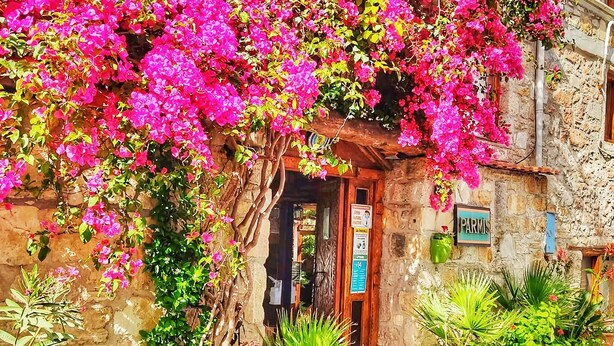 Um edifício de pedra com porta de madeira, rodeado por vasos de plantas e vibrantes flores de buganvília rosa.