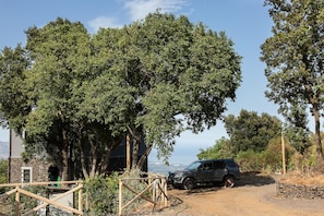 Um edifício rústico com fachada de pedra, rodeado por vegetação exuberante e árvores.