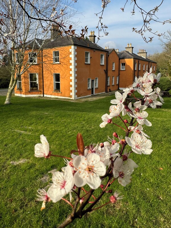 Clone House - Ireland