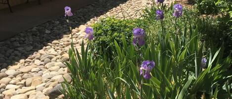 Área da propriedade