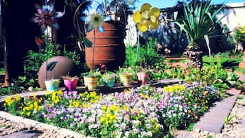 Jardim