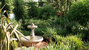 Um jardim com uma fonte de pedra central, rodeado por diversas plantas e árvores.