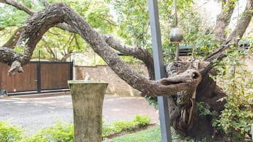 Terrenos do alojamento