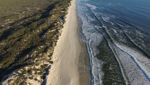 Vista aérea de uma praia com uma extensa faixa de areia e vegetação esparsa.