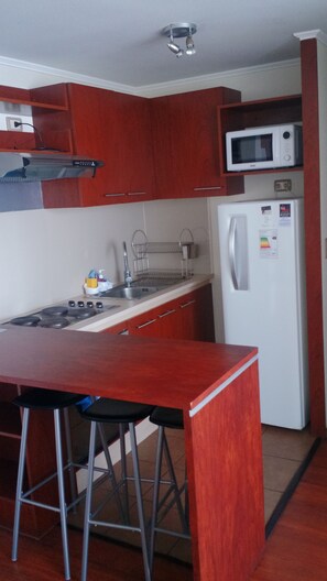 Apartamento standard, 1 quarto, banheiro privativo | Cozinha privada | Geladeira grande, micro-ondas, cooktop, chaleira elétrica