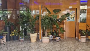 Um hall com piso de azulejos, vários vasos de plantas, uma placa indicando sala de bagagens e um balcão de recepção de madeira.