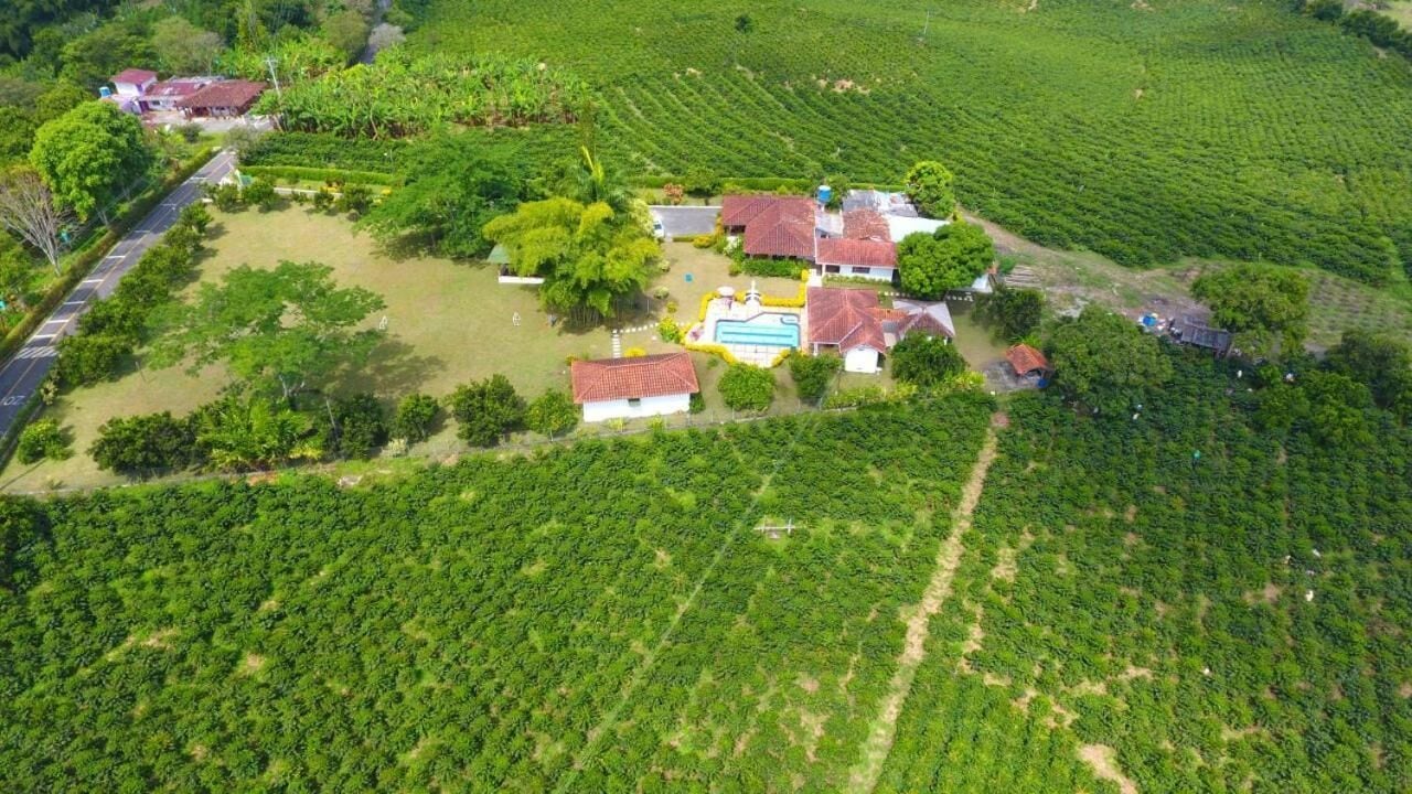 Área da propriedade