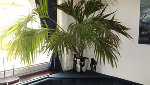 Quarto com uma grande planta em vaso, janela com cortinas, sofá azul e um quadro pendurado na parede.