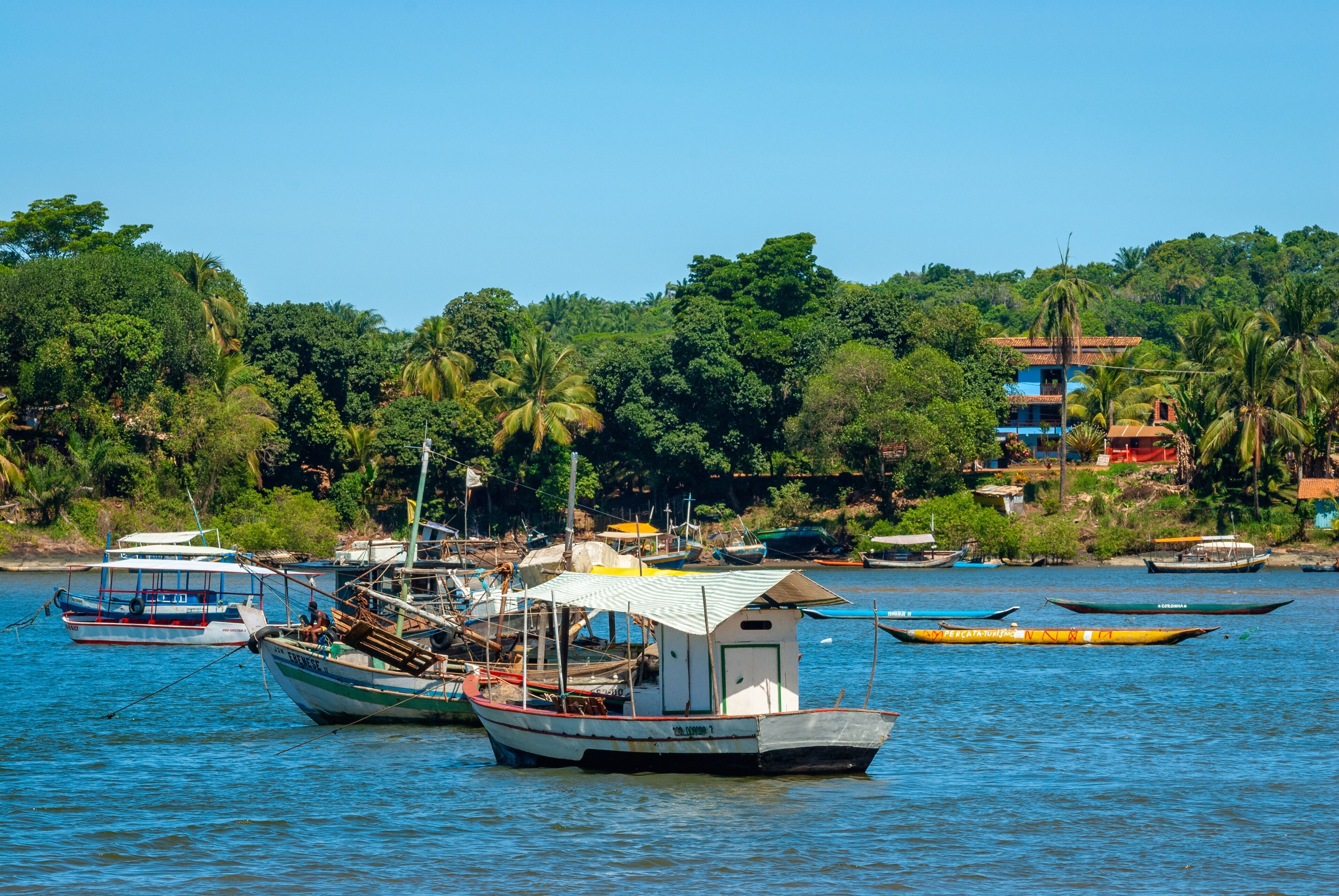 Cena costeira com vários barcos atracados perto de uma margem coberta por vegetação exuberante e edifícios.