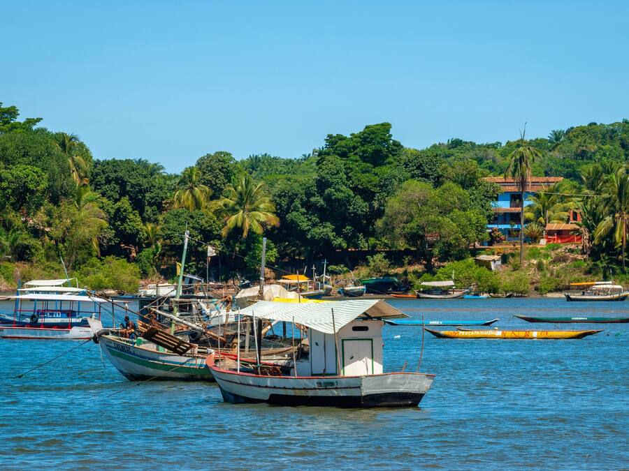 Cena costeira com vários barcos atracados perto de uma margem coberta por vegetação exuberante e edifícios.