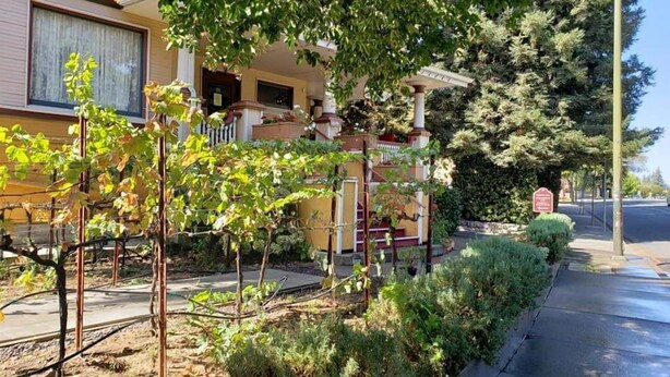 Uma casa residencial com gramado frontal, pérgola e um pequeno jardim.