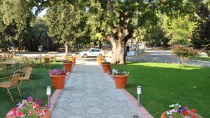 Área externa com calçada, plantas em vasos e mobiliário para área externa.