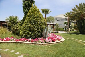Jardim