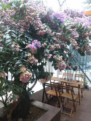Jardim