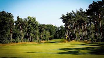 Golfe