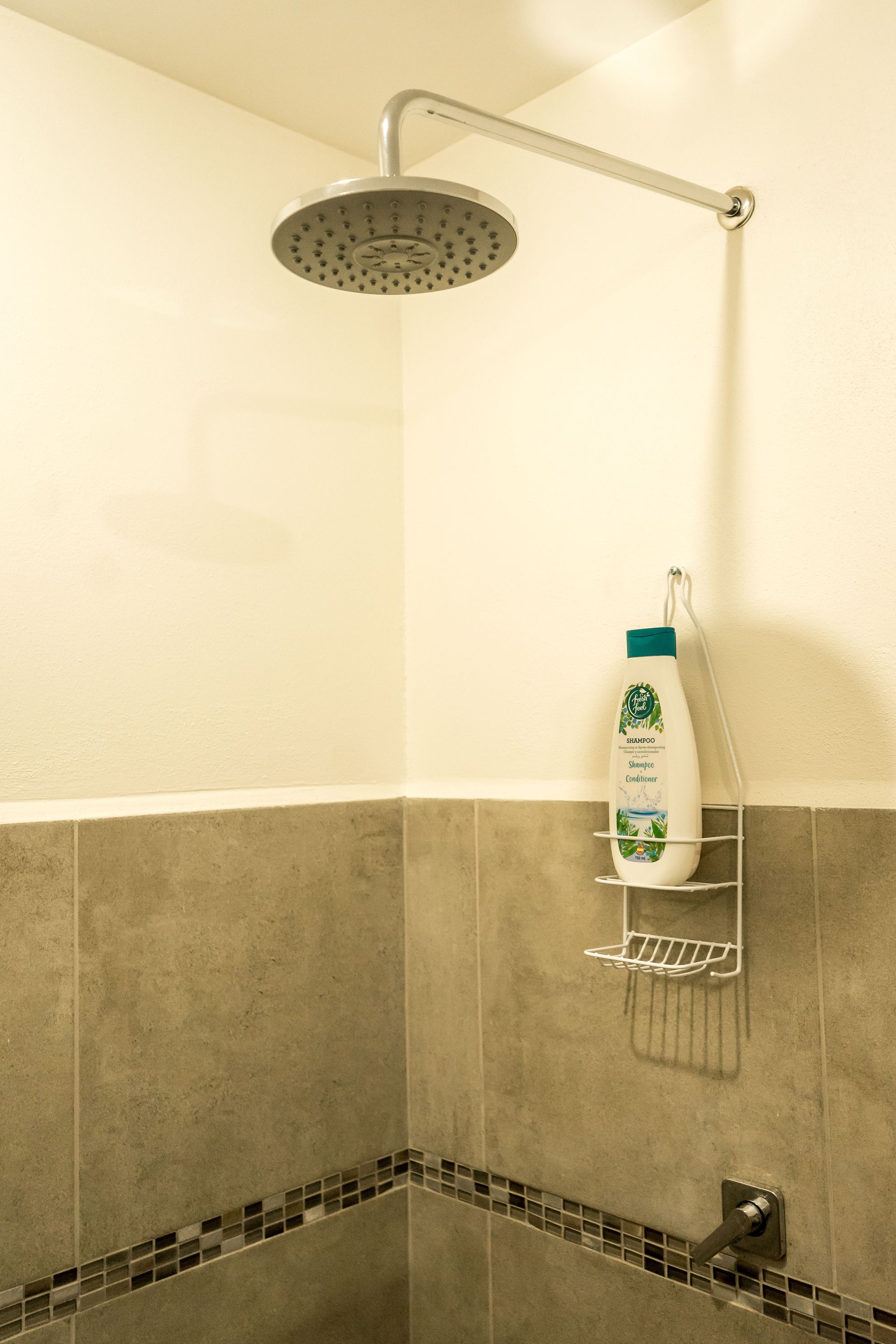 Chuveiro com chuveiro manual e uma garrafa de shampoo em um suporte fixado na parede.